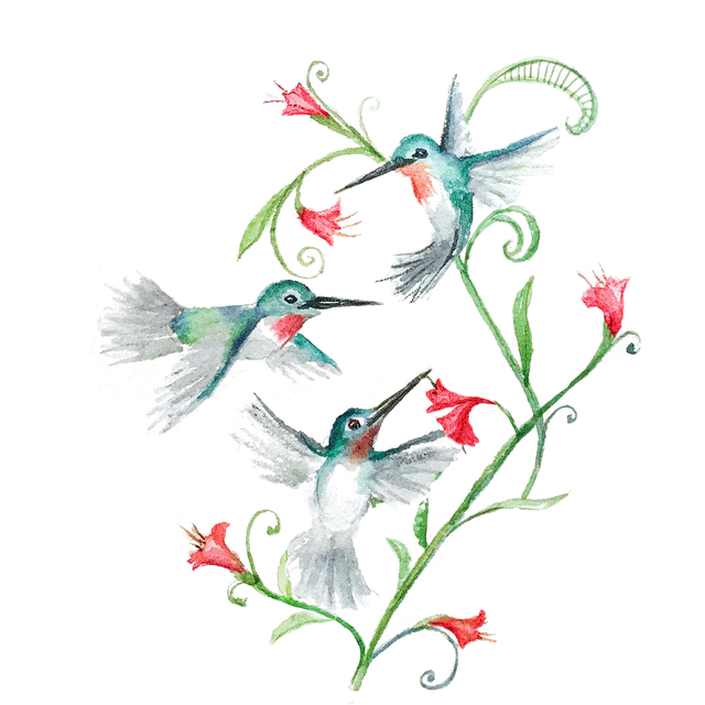 Designing The Hummingbird Trio Card – Quilling Card