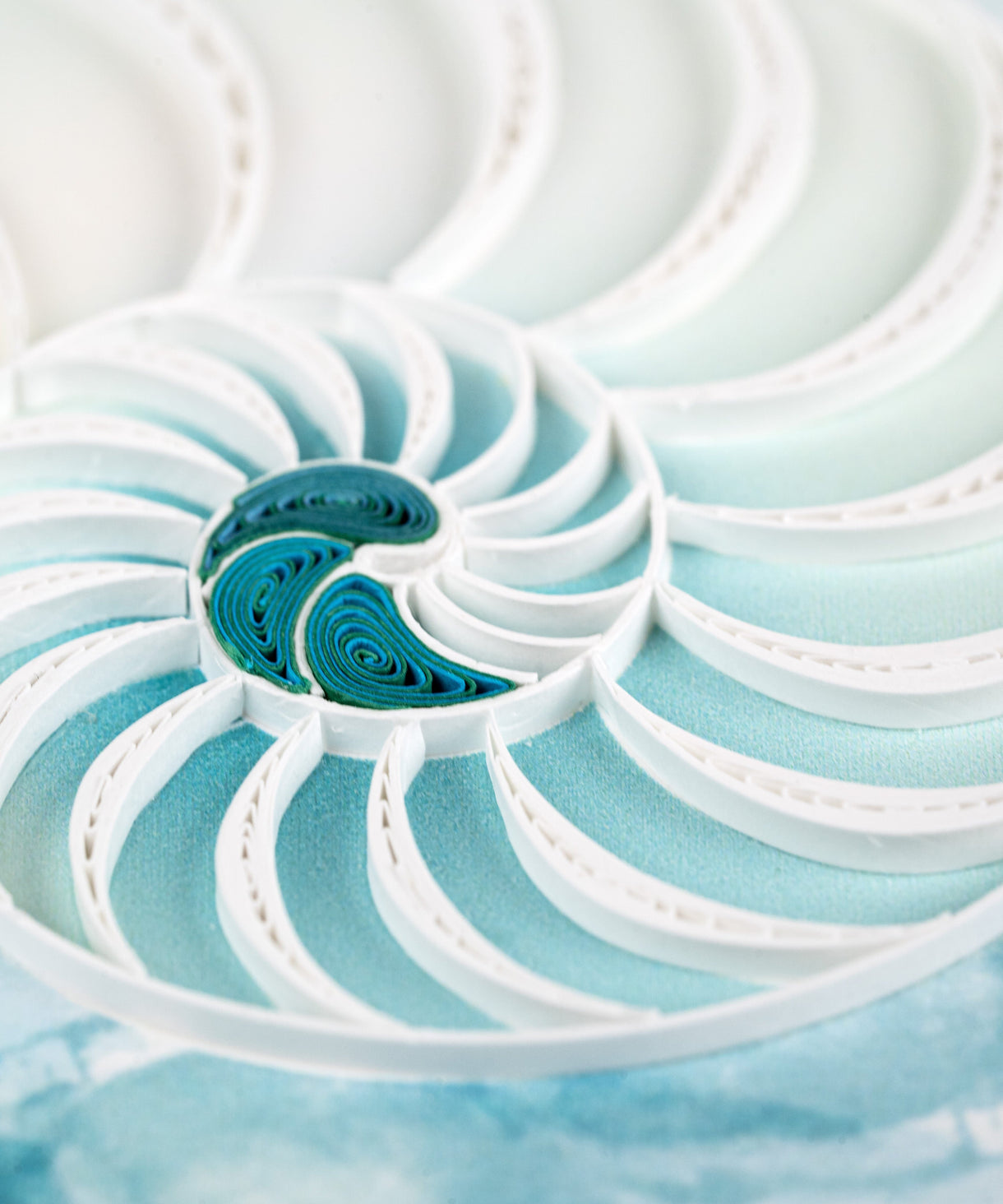 Handcrafted Abstract Nautilus Greeting Card | Quilling Card¨