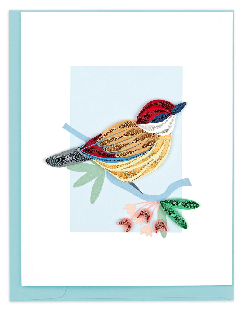 Quilled Decorative Birds Note Card Box Set – Quilling Card