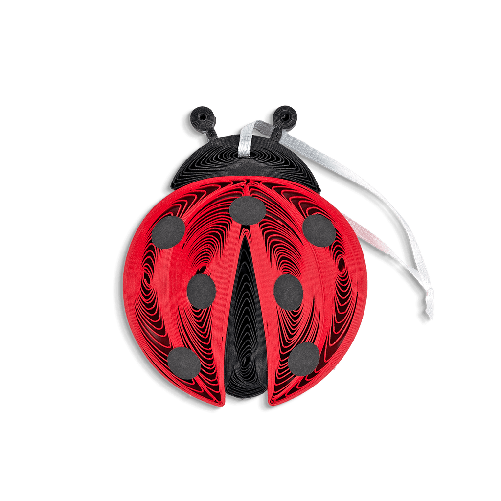 Quilled Insect Ornaments Box Set – Quilling Card