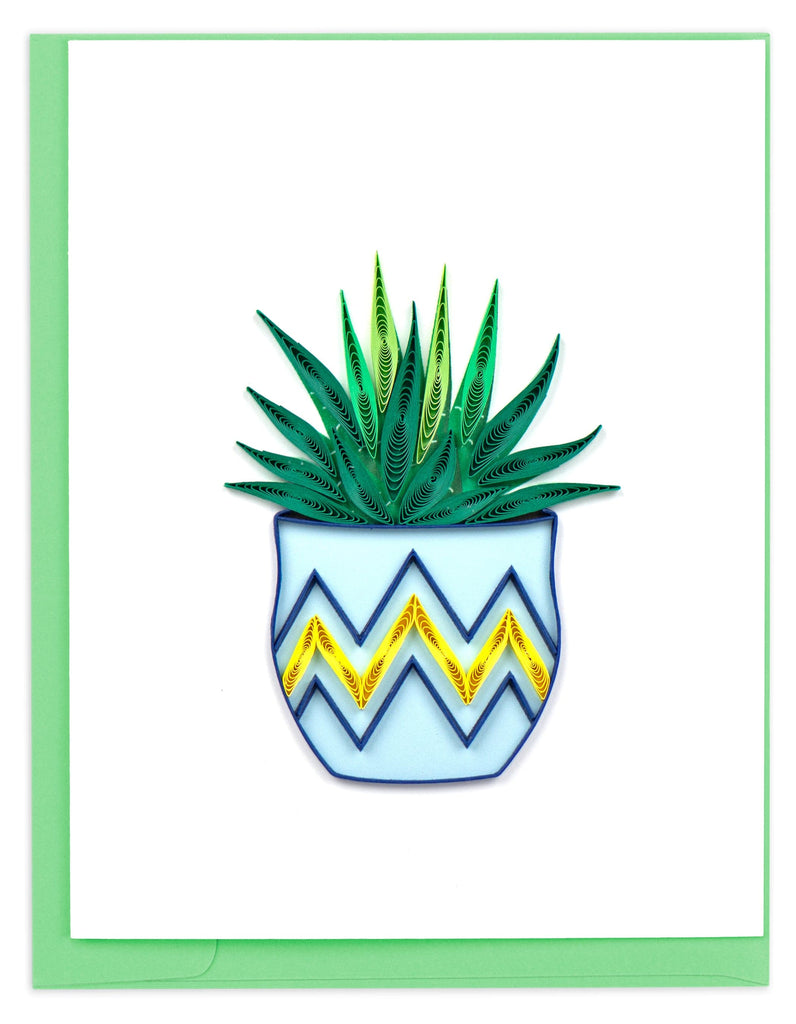 Quilled Succulent Note Card Box Set – Quilling Card